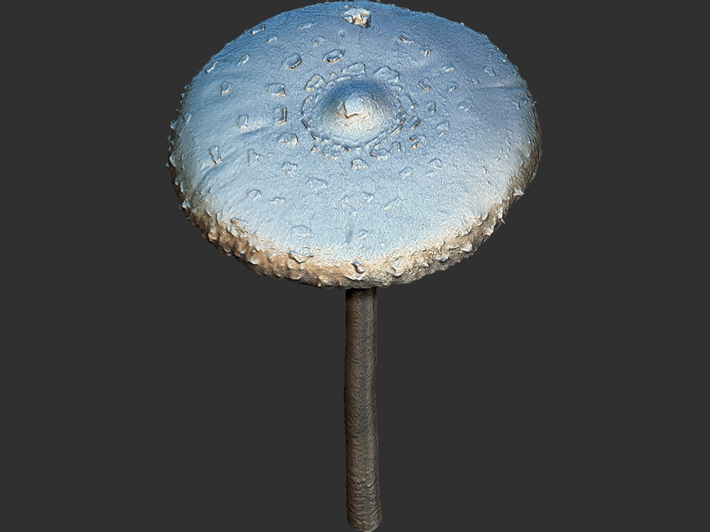 Mushroom Pack 3 Hd 3D Model - TurboSquid 1440057