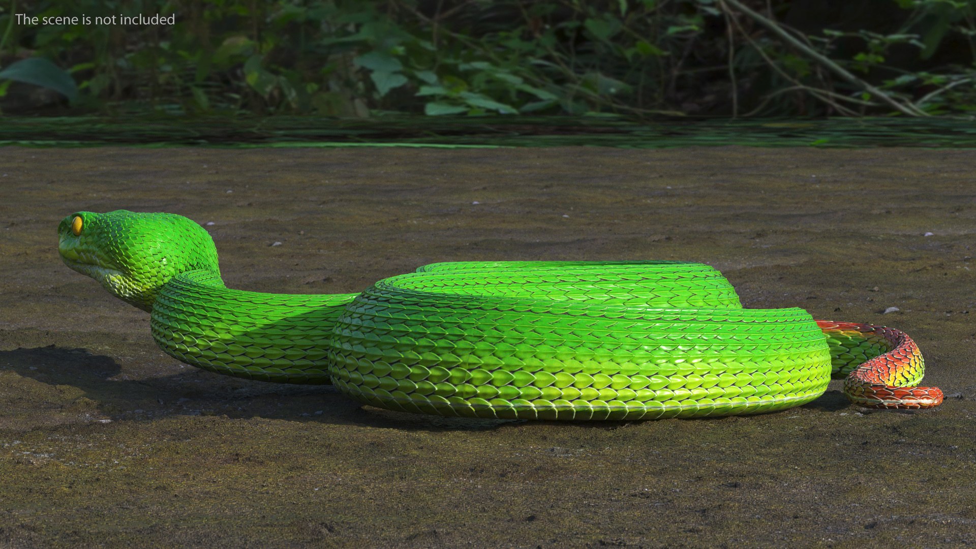3D Viper Green Trimeresurus Rigged For Maya Model - TurboSquid 2115833