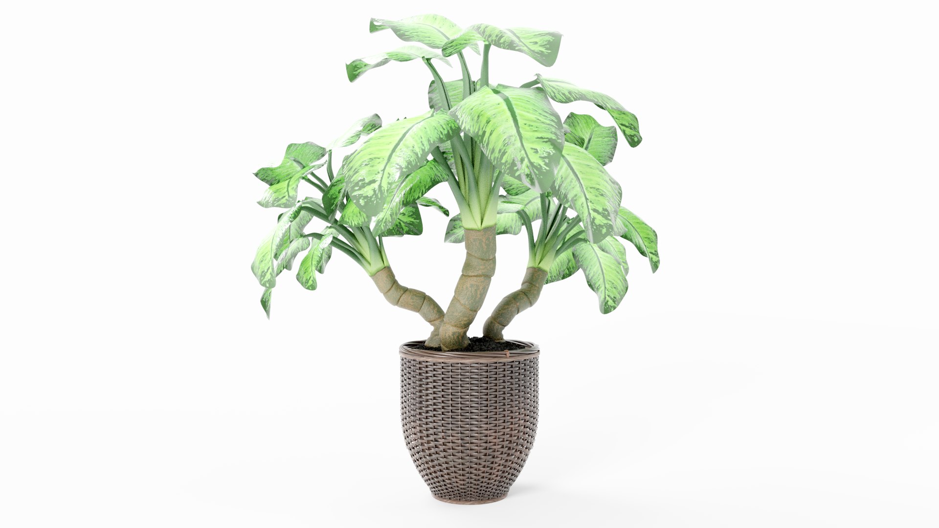 Plant In Basket 3D Model - TurboSquid 1716539