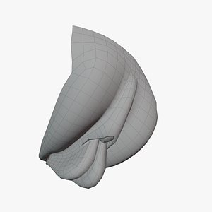 3D Anatomy Vagina Models - Browse & Download Formats - TurboSquid