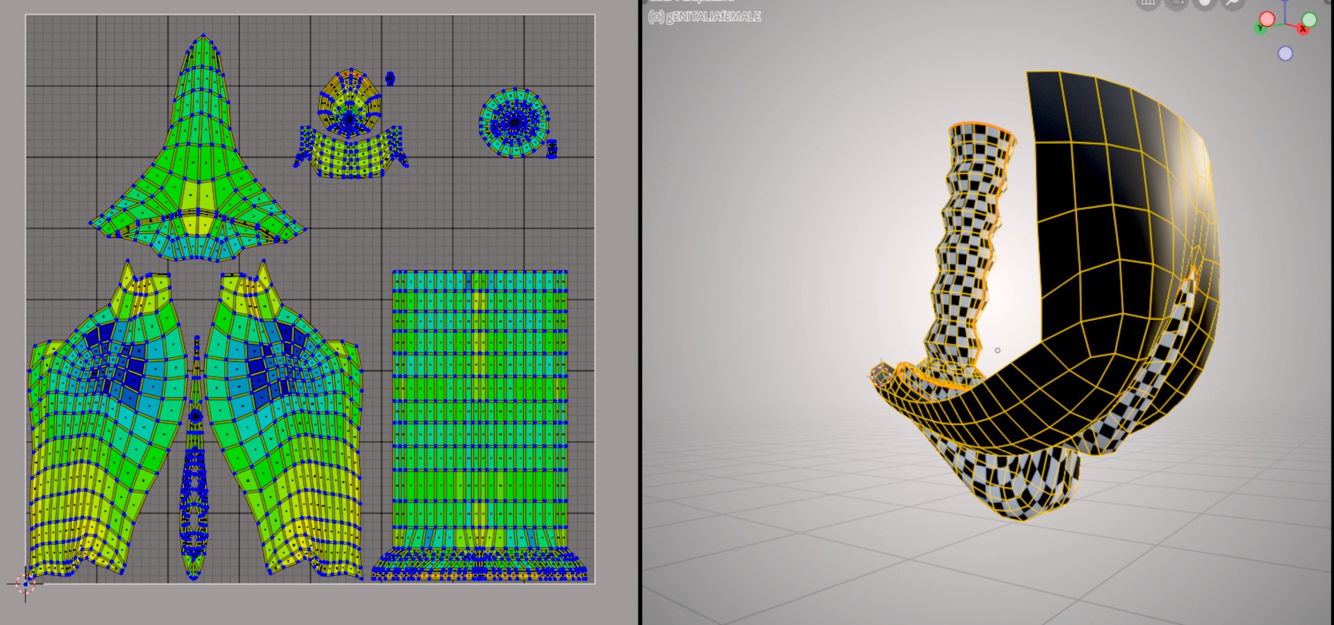 GENITALIA FEMALE 3D Model - TurboSquid 2311194