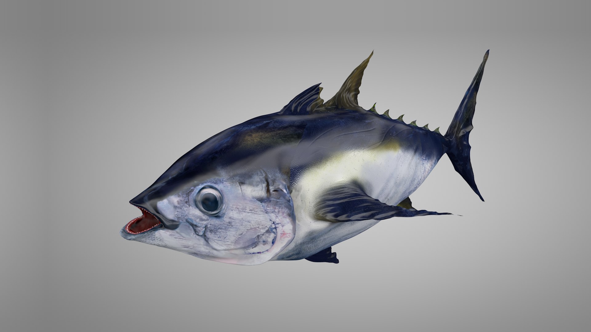 3D Tuna Fish L138 Animate Model - TurboSquid 1411862
