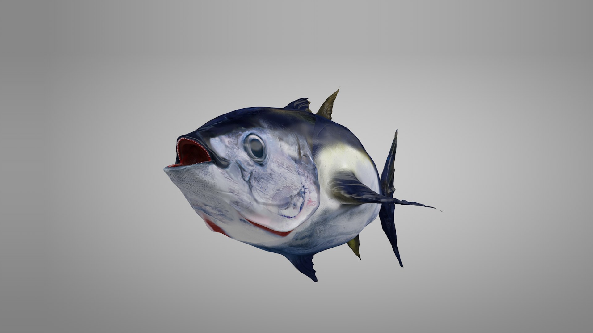 3D Tuna Fish L138 Animate Model - TurboSquid 1411862
