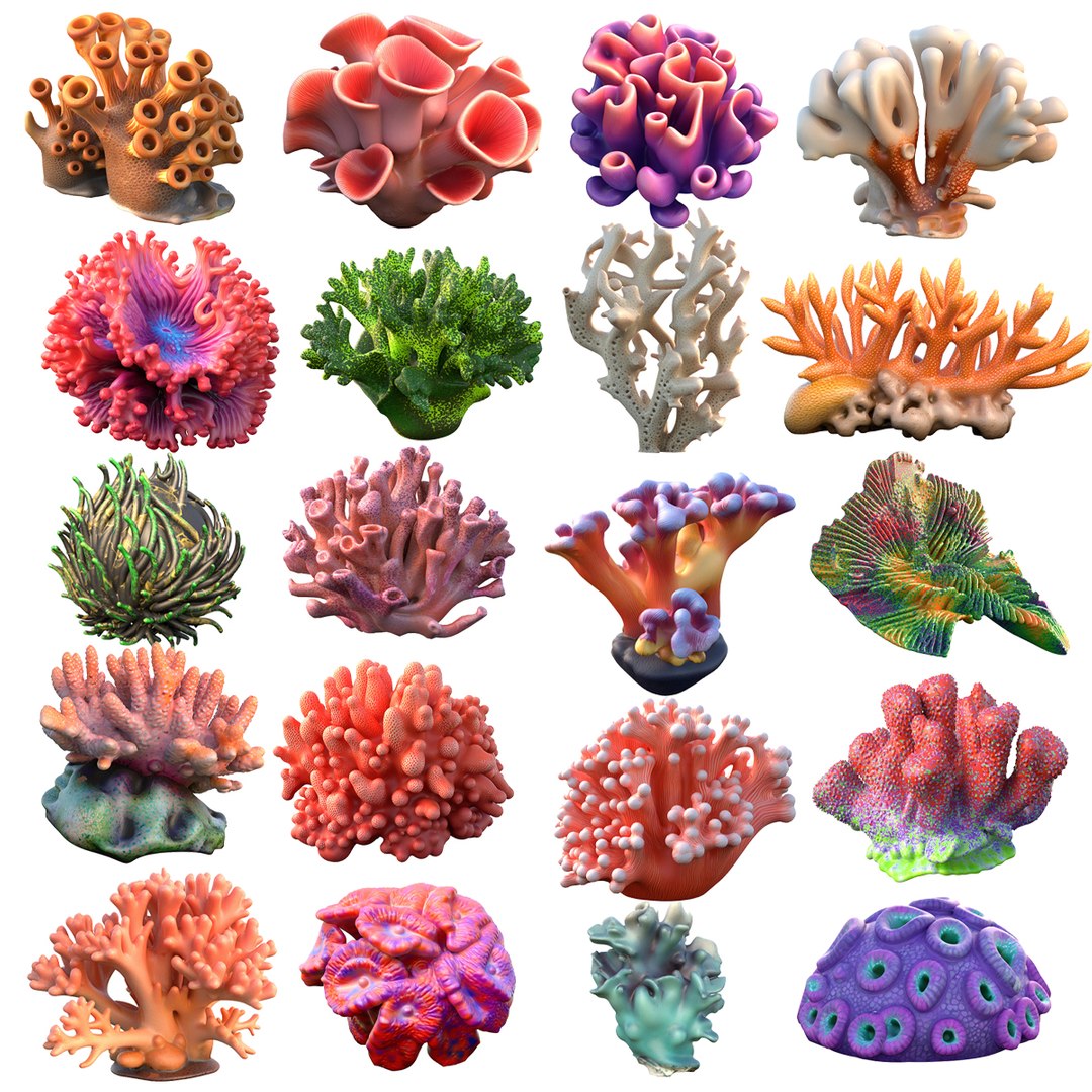 3D Coral Reef Collection 1-30 Model - TurboSquid 2457413