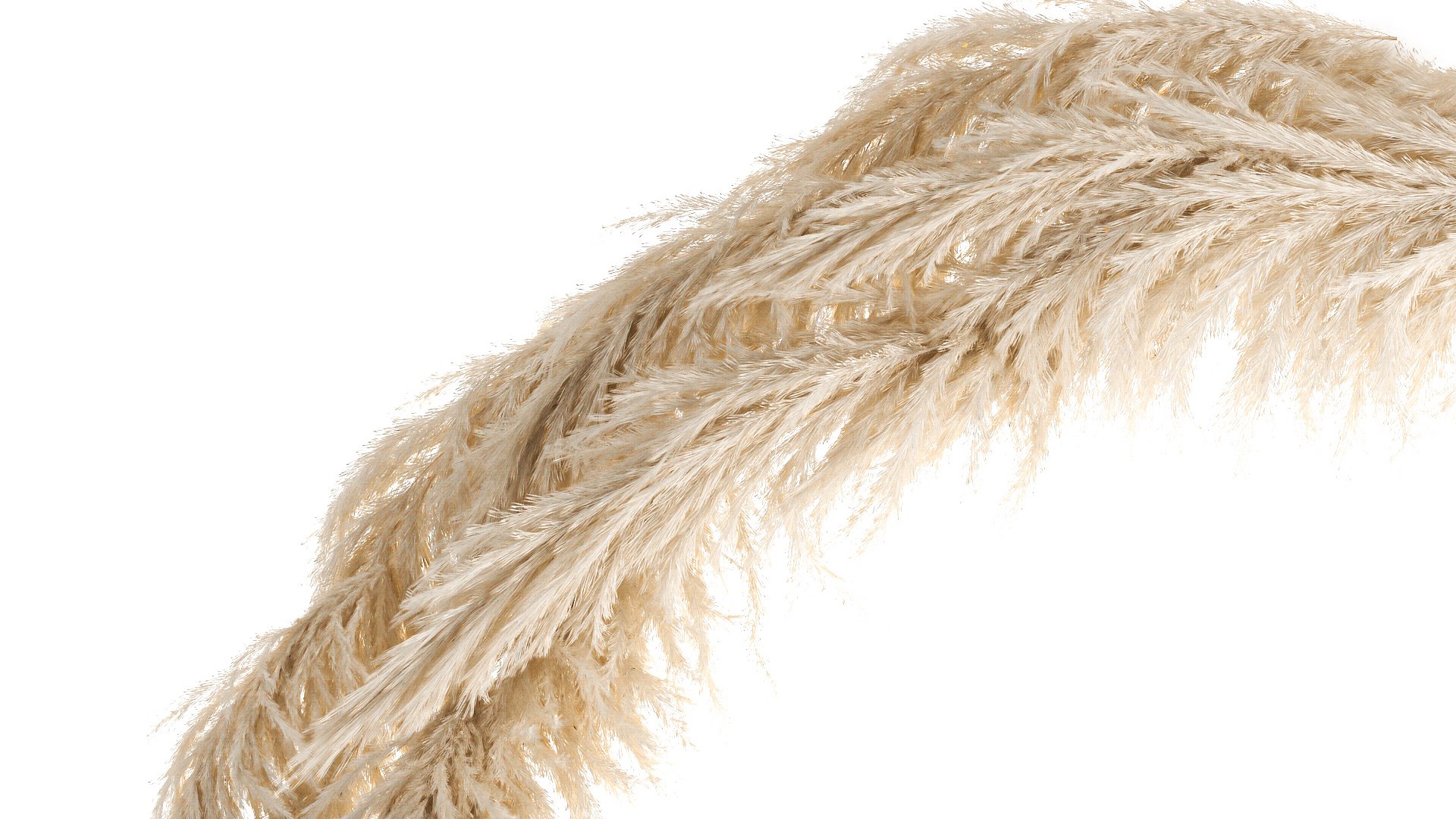 Wedding Arch Made Of Dry Reeds For Decor 1063 3D - TurboSquid 1812666