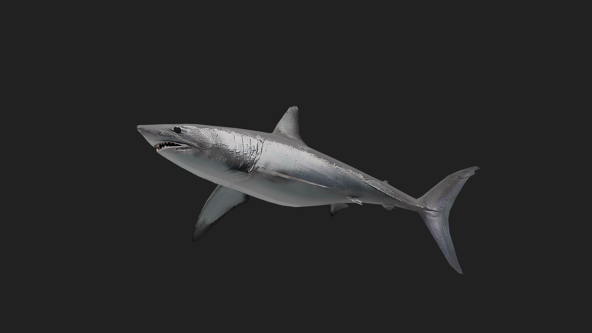 Shark Model - TurboSquid 2122890