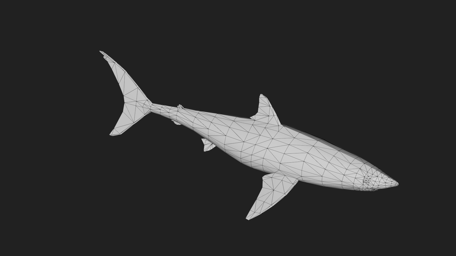 Shark Model - TurboSquid 2122890