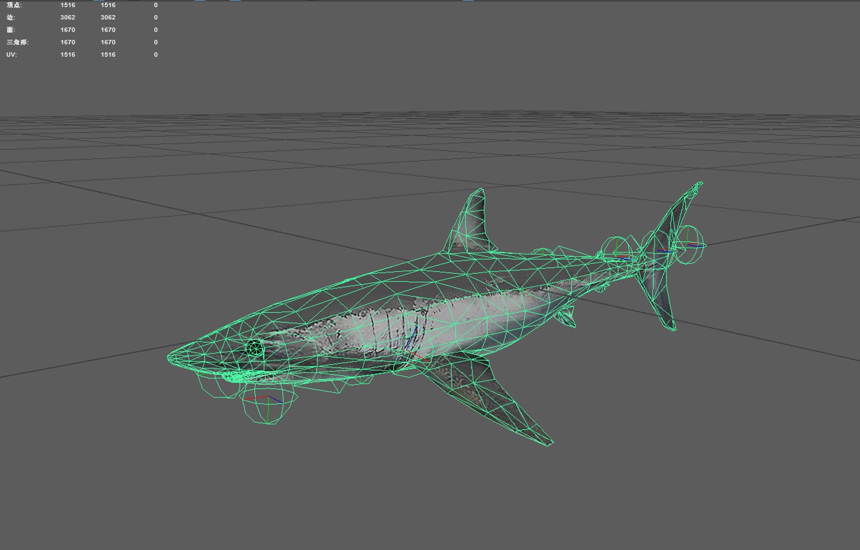 Shark Model - TurboSquid 2122890