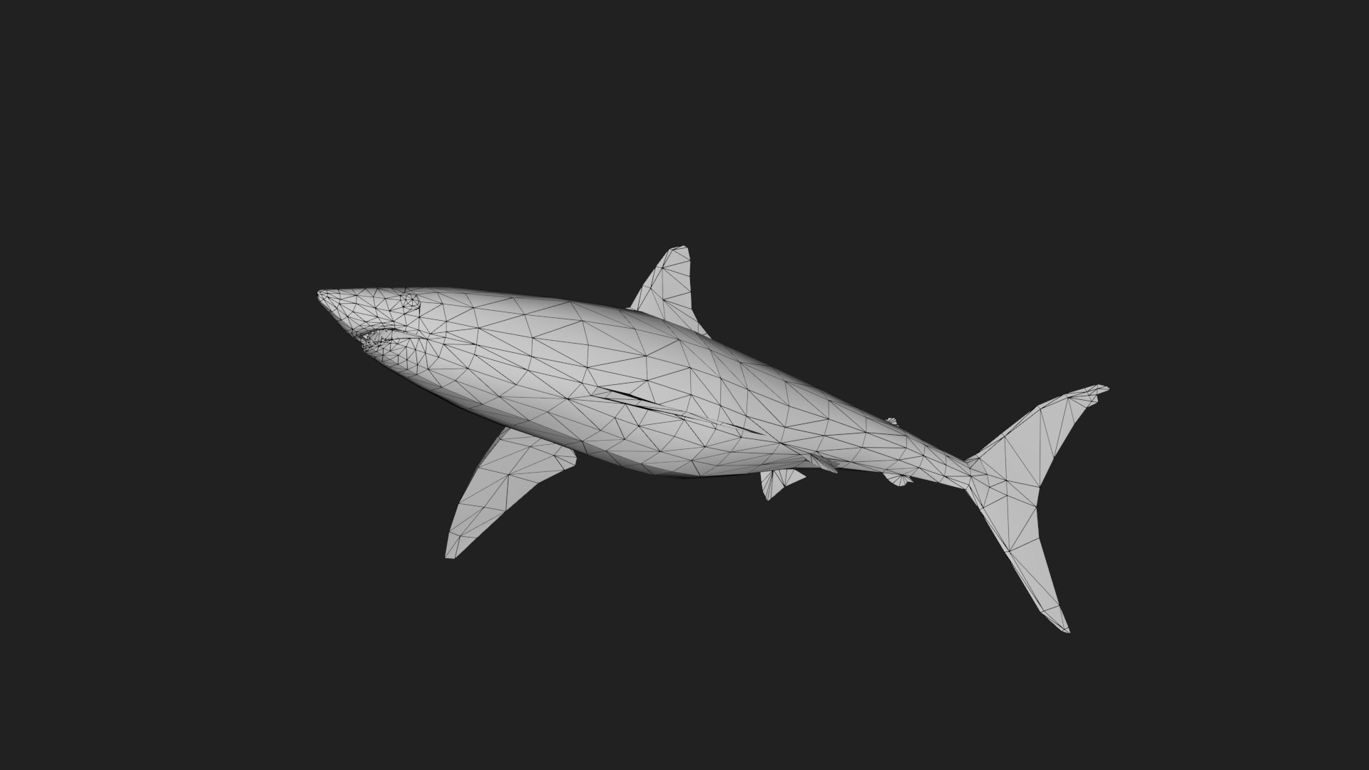 Shark Model - TurboSquid 2122890