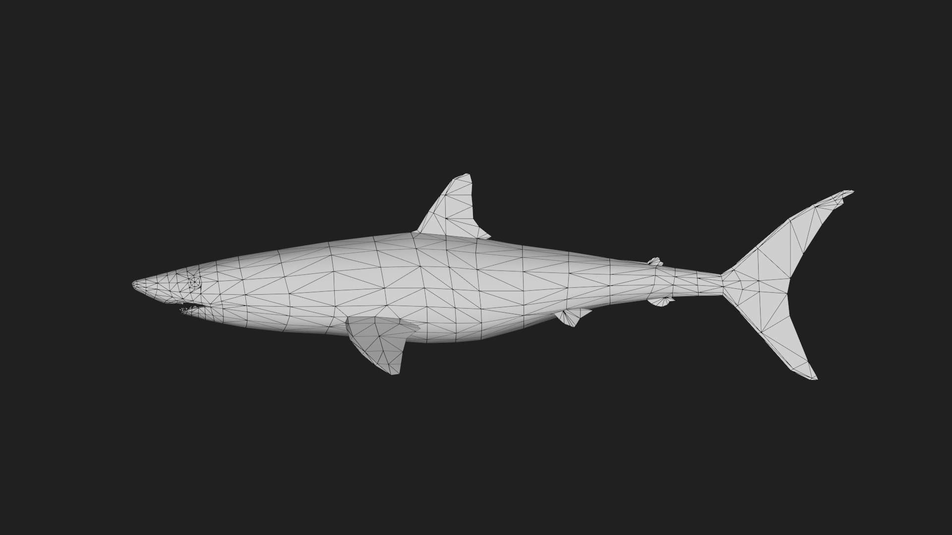 Shark Model - TurboSquid 2122890