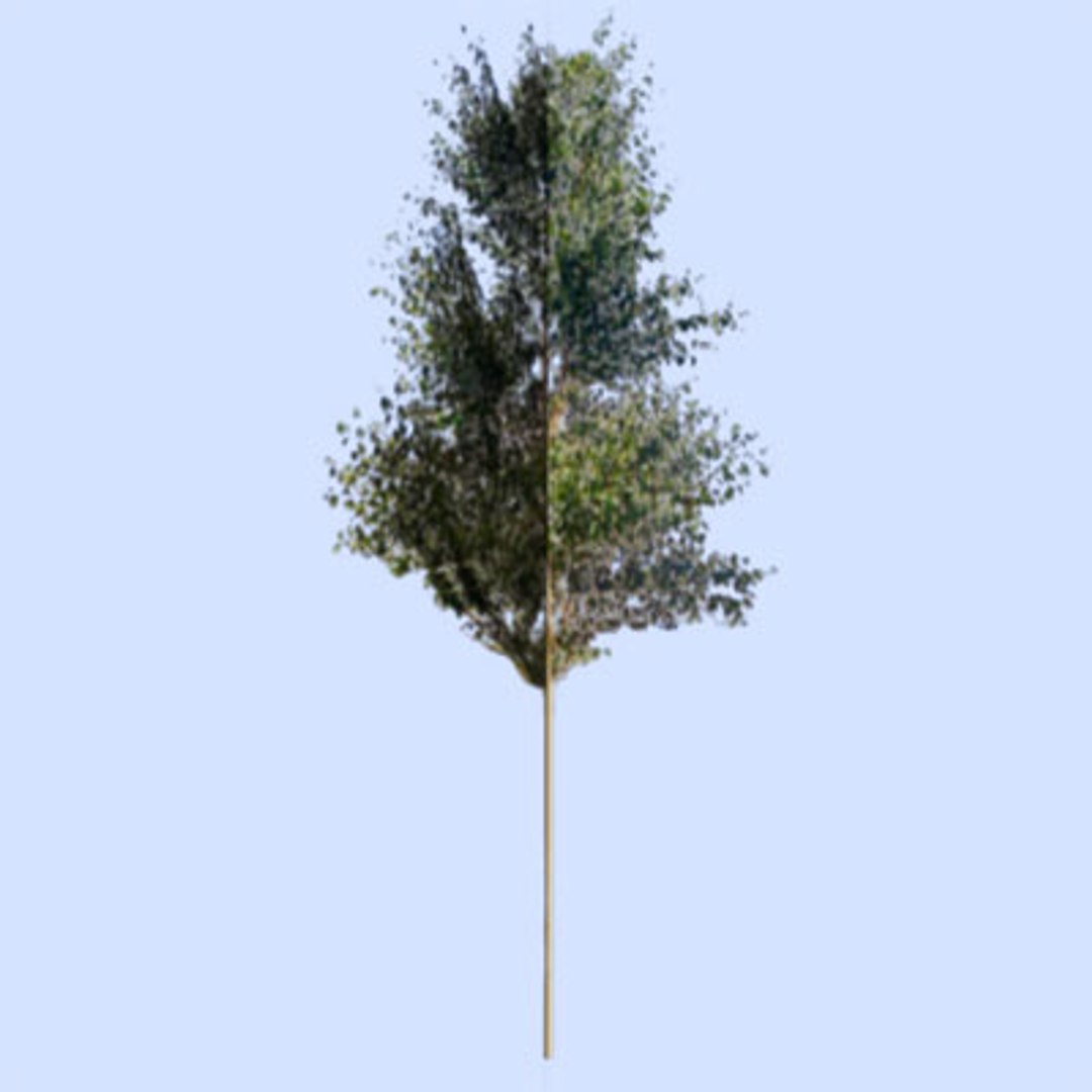 Photoshop Bitmap Tree 3d Model