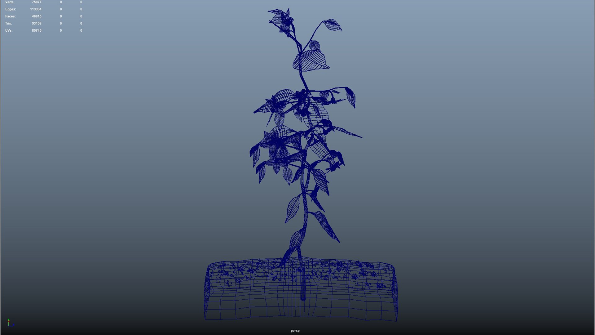 3D Chili Flower Plant Model - TurboSquid 2210456