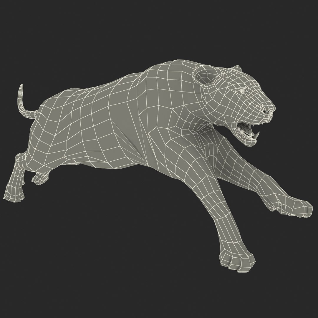 3d Model Lion Pose 3