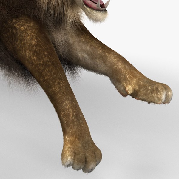modelo 3d Pose de león 3 - TurboSquid 775089