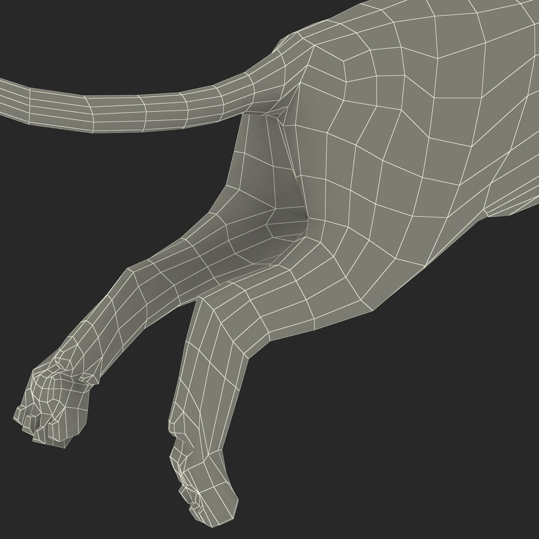 3d Model Lion Pose 3