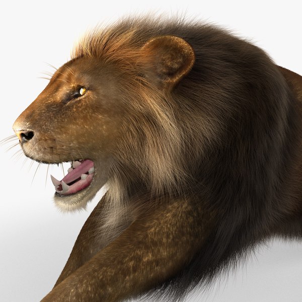 modelo 3d Pose de león 3 - TurboSquid 775089