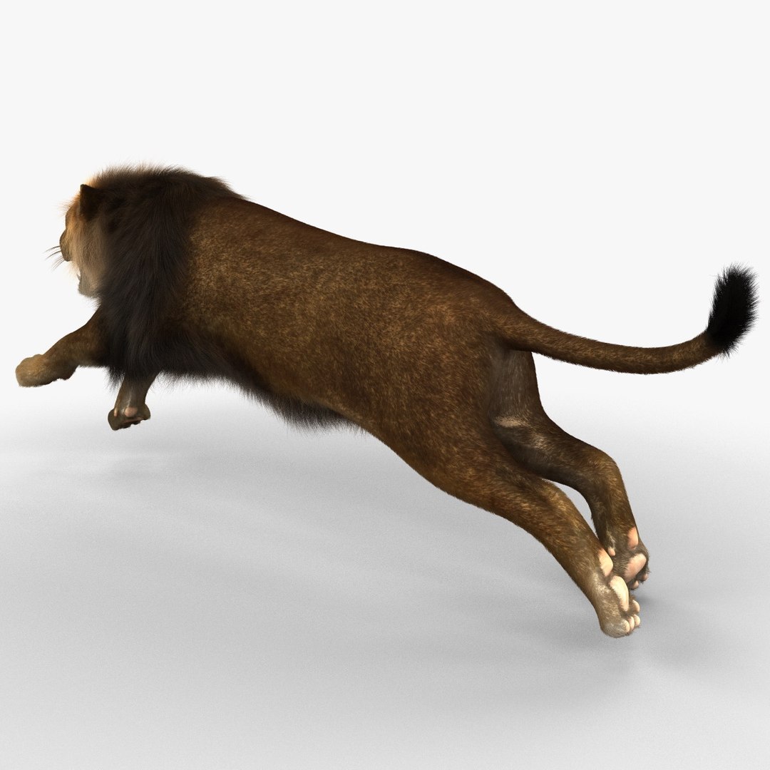 3d Model Lion Pose 3