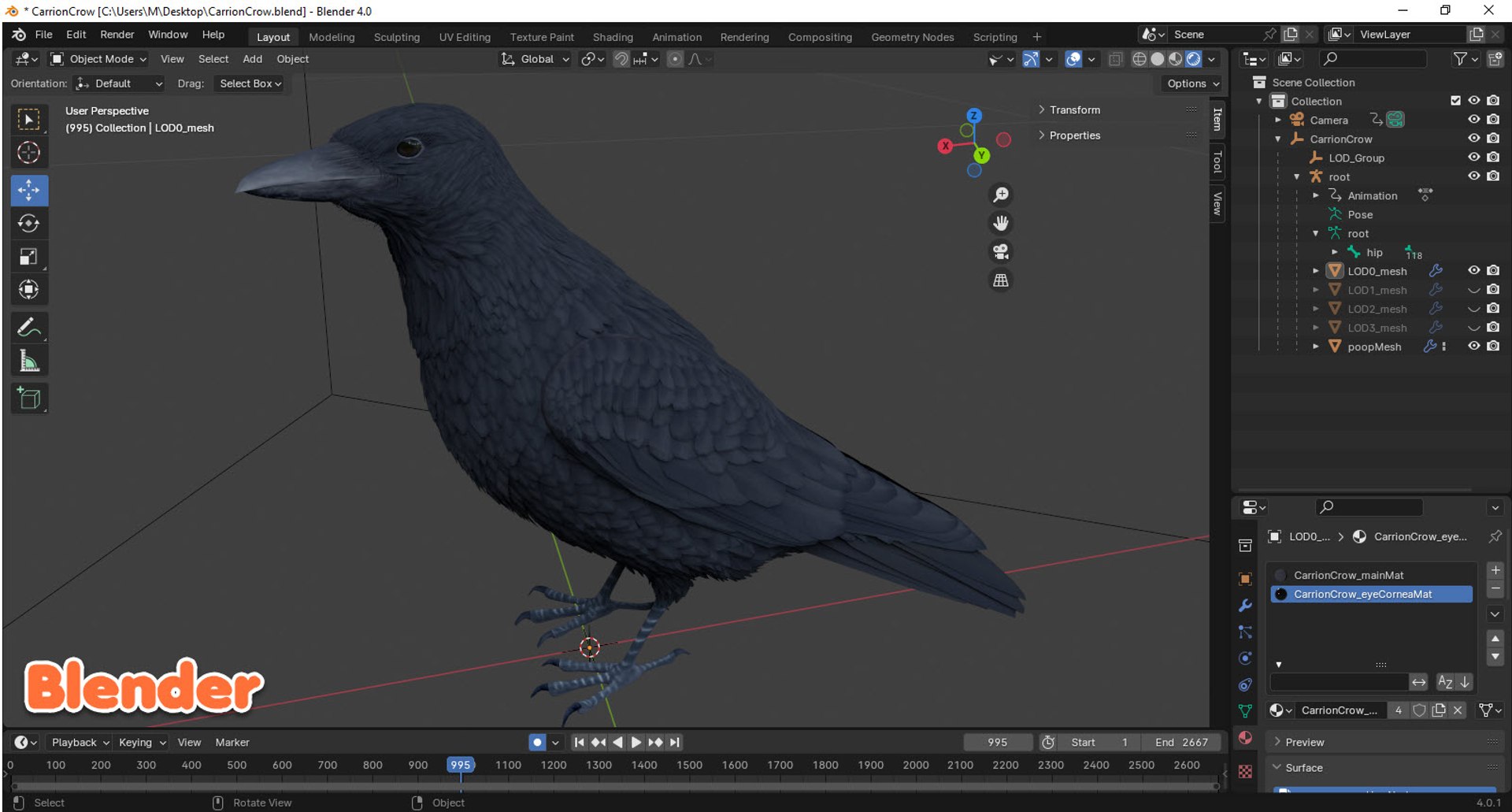 3D Realistic Animated Carrion Crow - TurboSquid 2258080