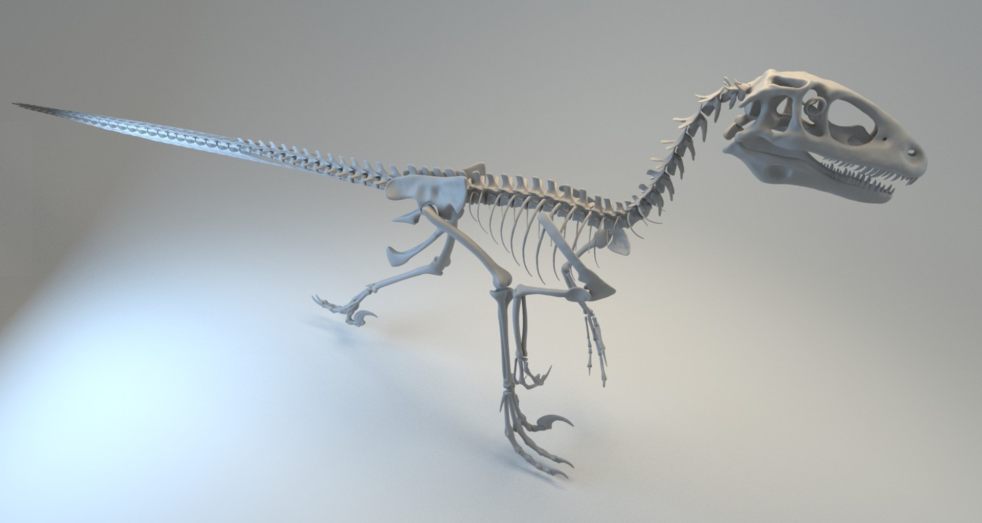 3D Deinonychus Skeleton Fossil Model - TurboSquid 1280085