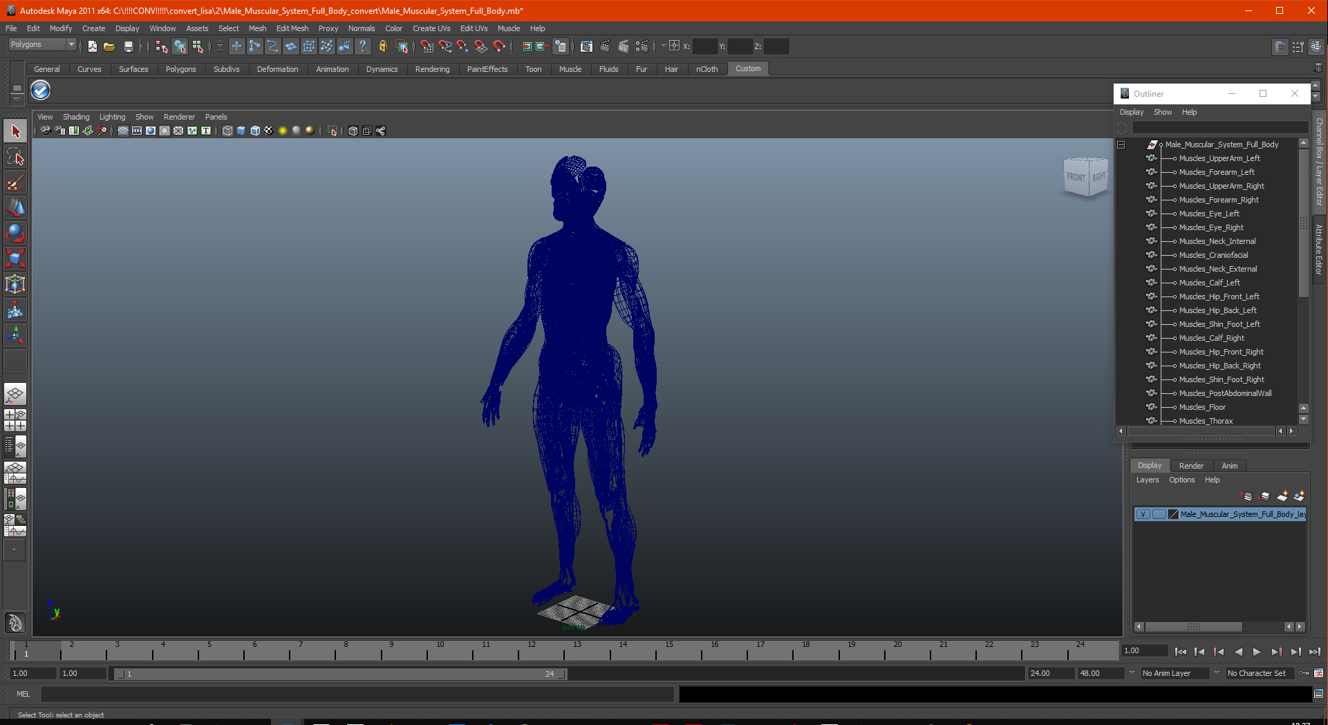 3D male muscular body - TurboSquid 1466728