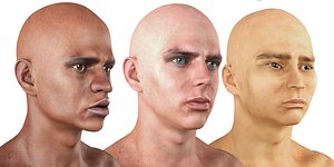 Download 3D Human Body STL Models - TurboSquid