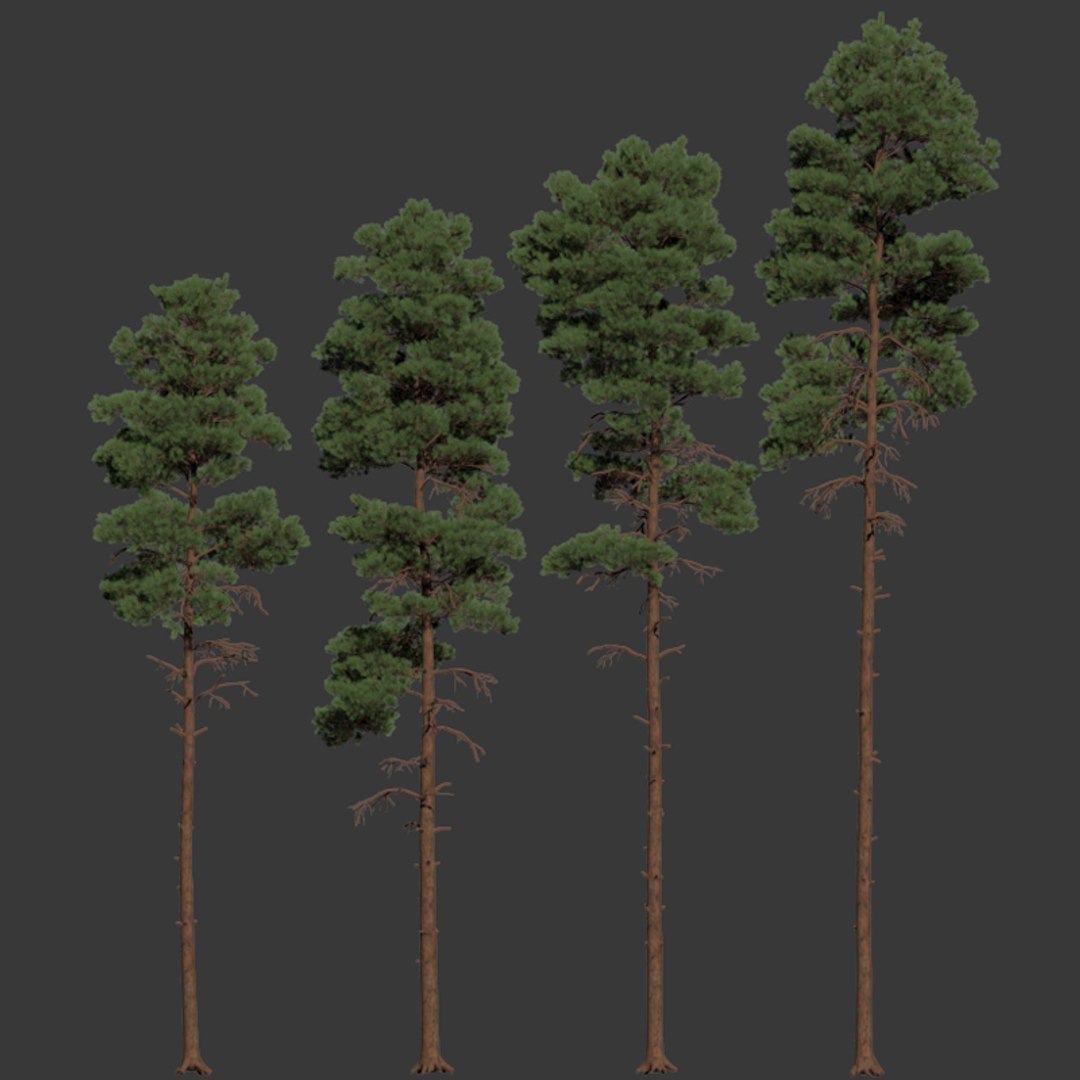 3D Pines Needles Model - TurboSquid 1418562