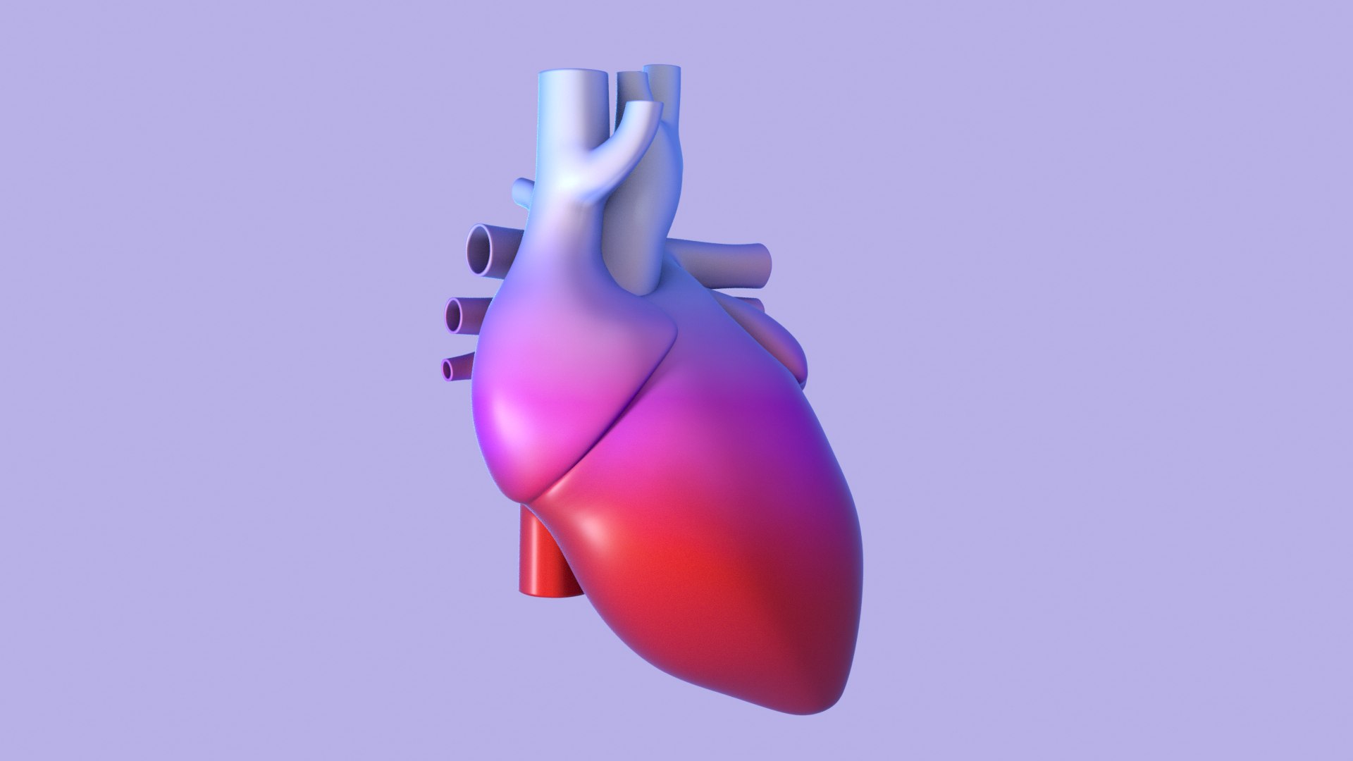 HEART 3D model - TurboSquid 1920032
