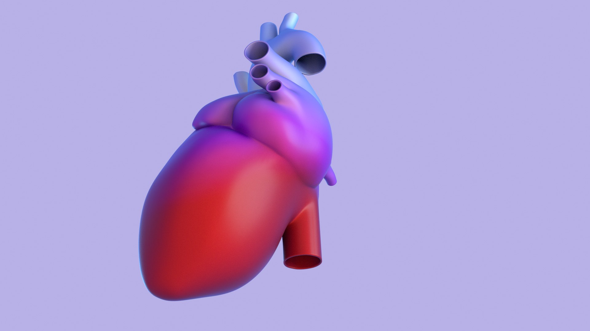 HEART 3D model - TurboSquid 1920032