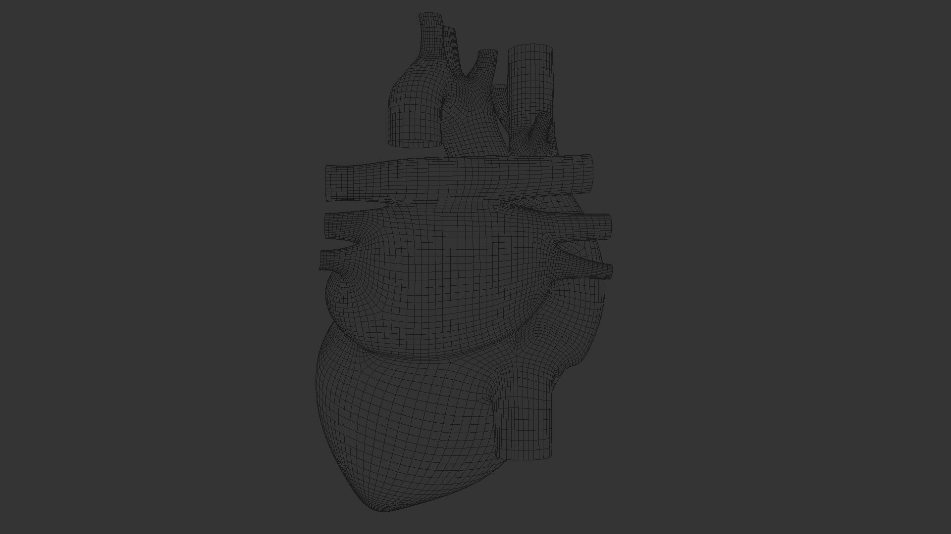 HEART 3D model - TurboSquid 1920032