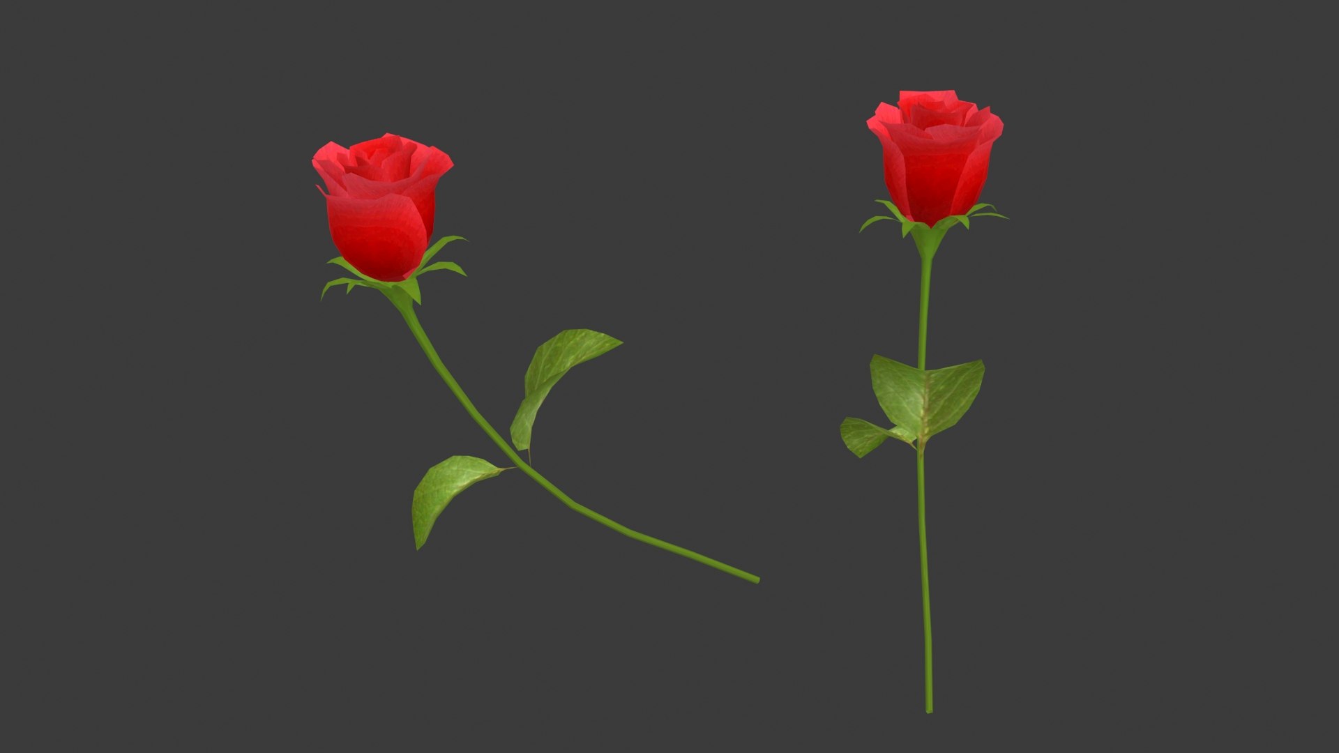 3D A Rose - TurboSquid 1729936