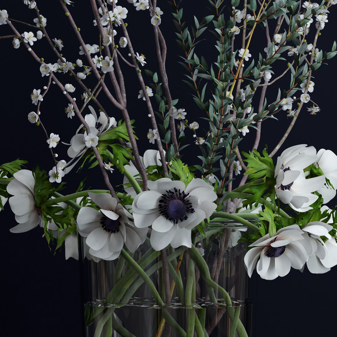 Anemones Branches Flowers Plants 3d Model