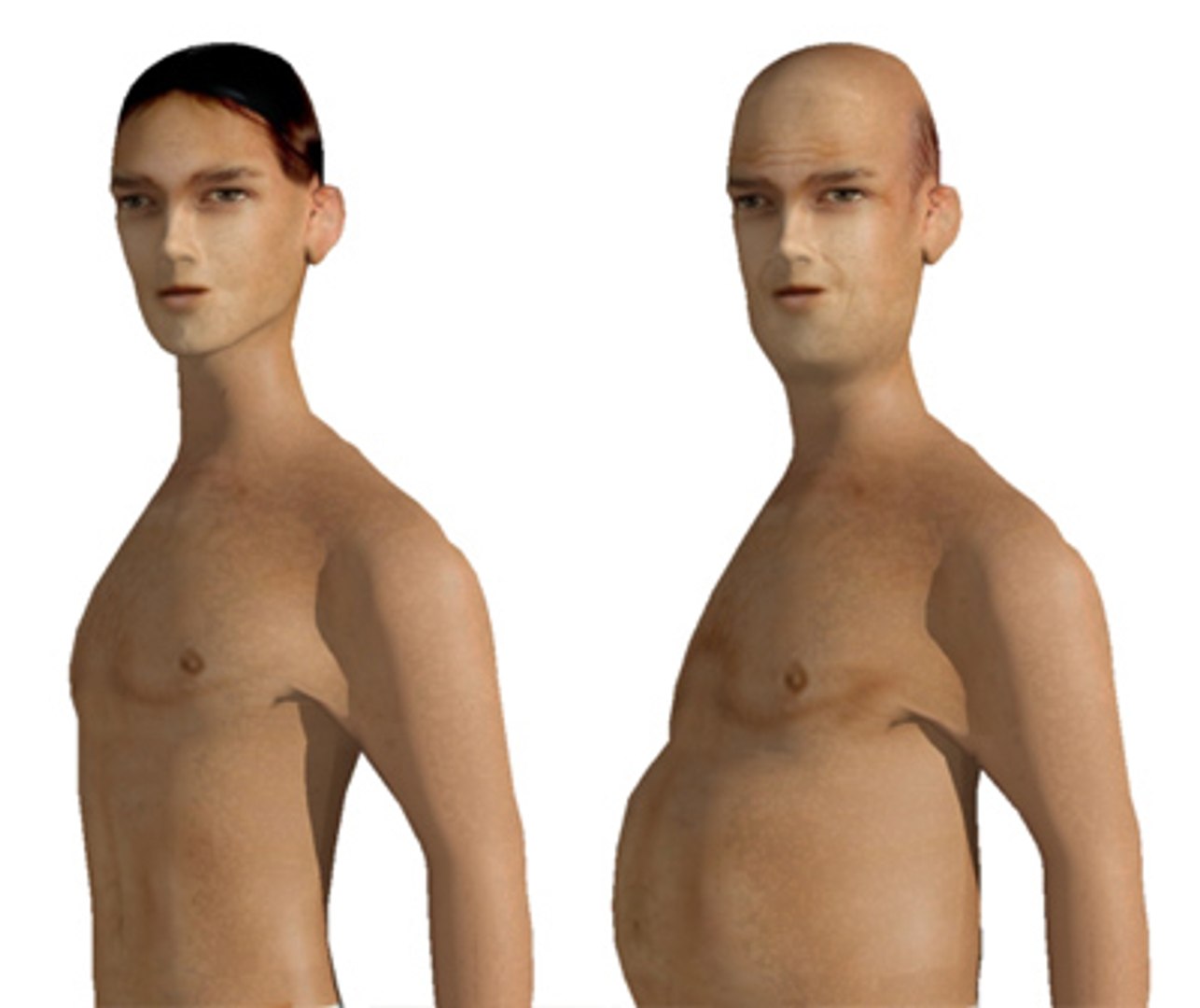 3d Model Slim-fat Man Slim Fat