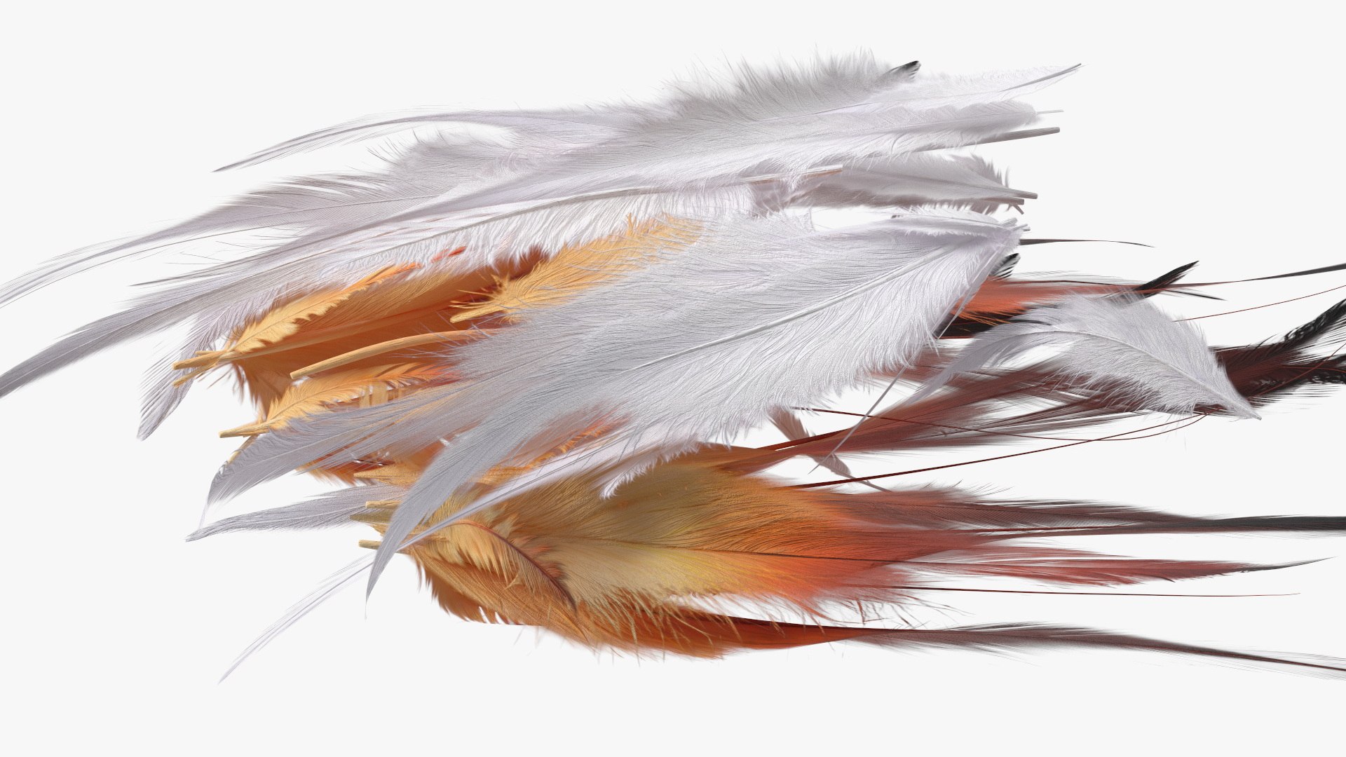 Natural Color Feathers 3D Model - TurboSquid 2339128