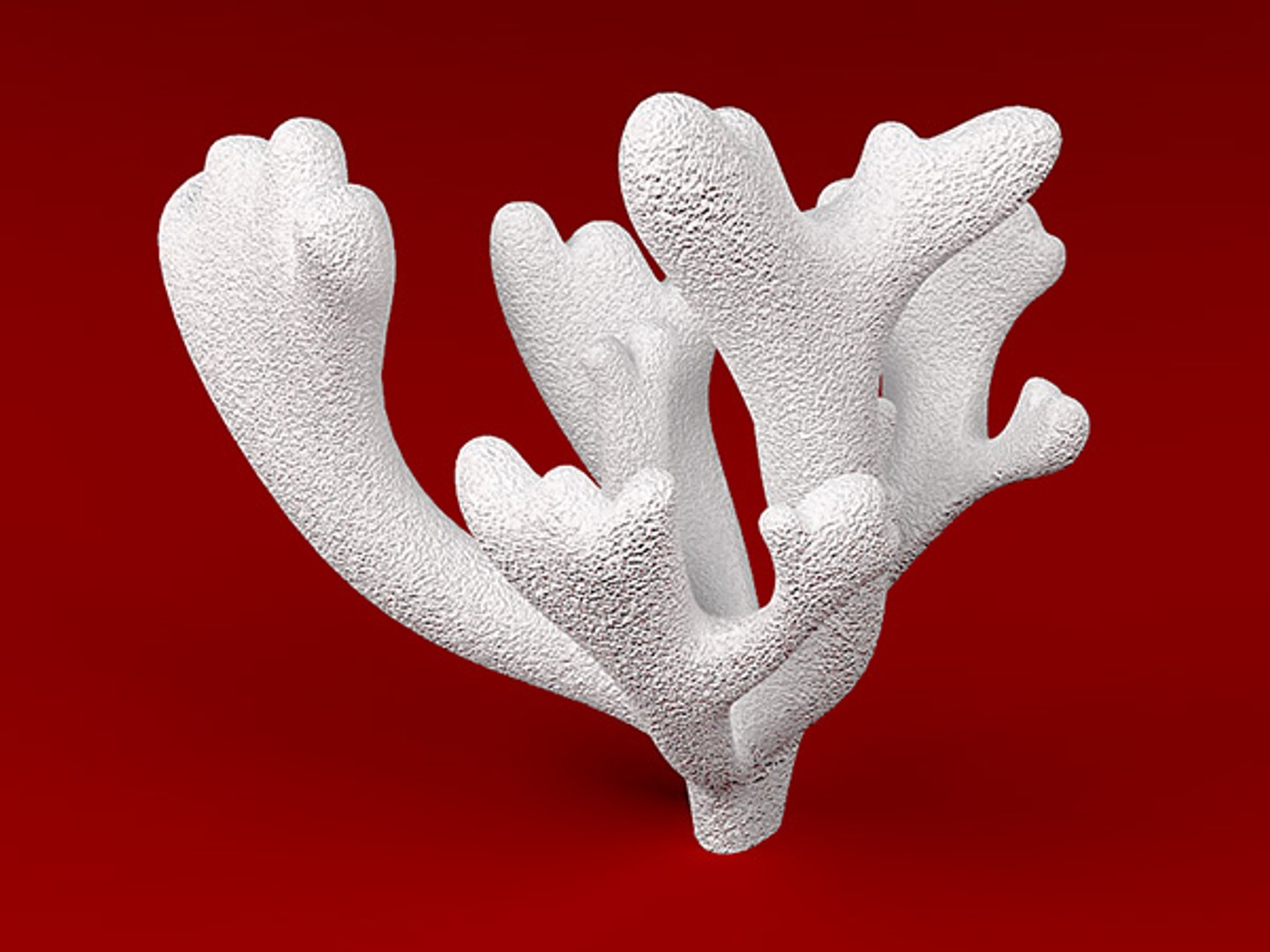 Coral 3d Model