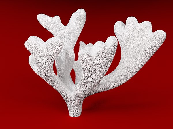 coral 3d model