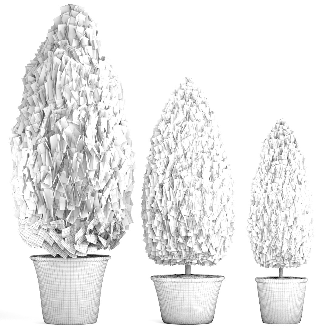Cupressus Blue Thuja 3D Model - TurboSquid 1224982