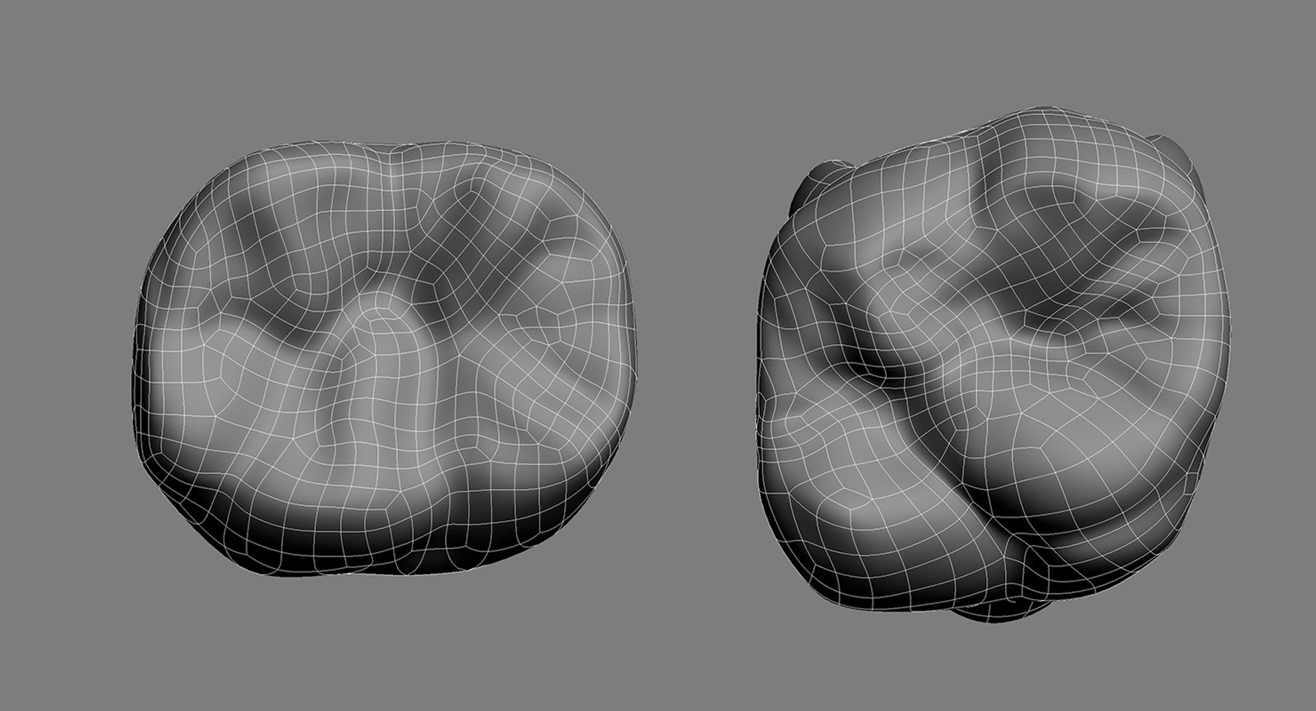 3ds Max Primary Second Molars