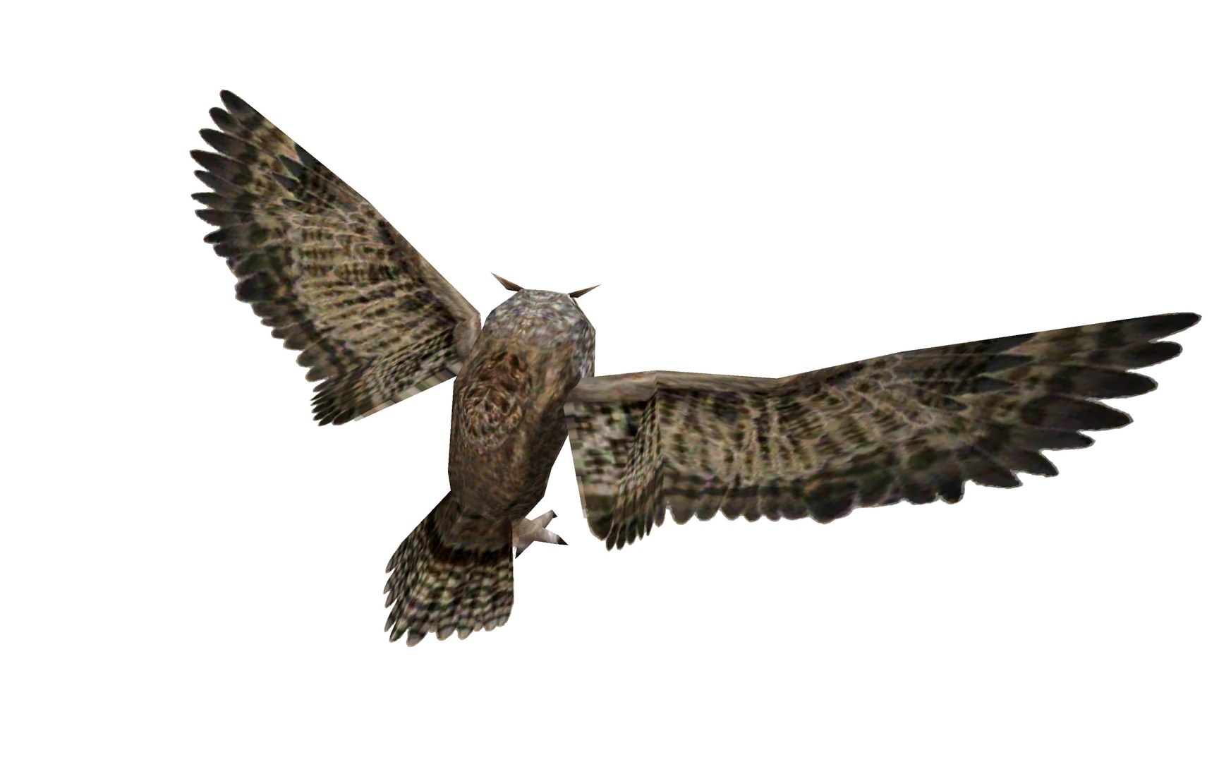 Realistic Owl Bird Model - TurboSquid 1510865