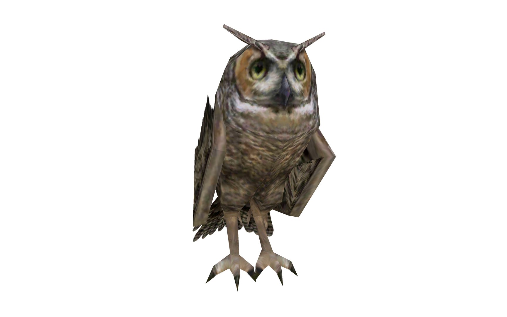 Realistic Owl Bird Model - TurboSquid 1510865