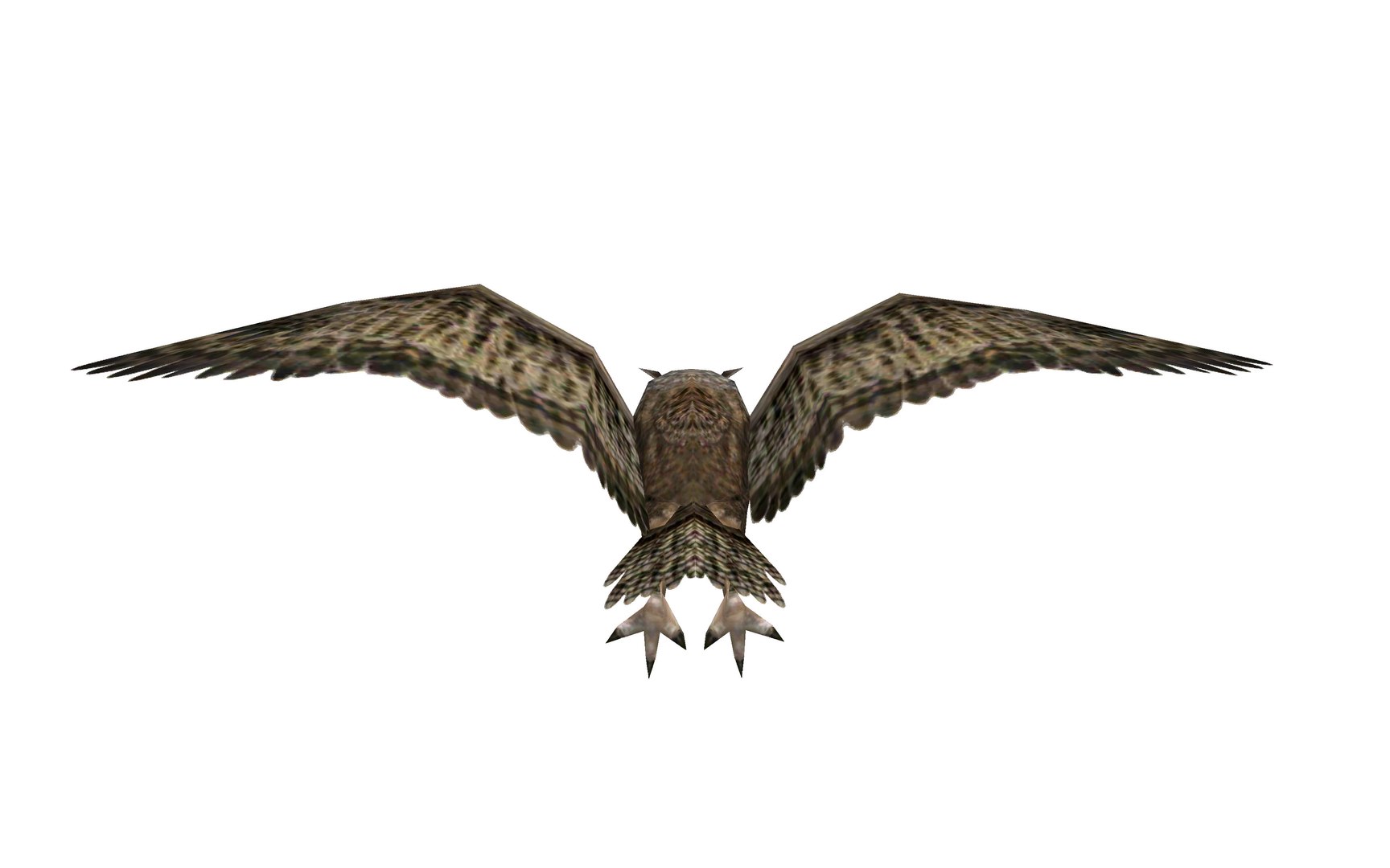 Realistic Owl Bird Model - TurboSquid 1510865