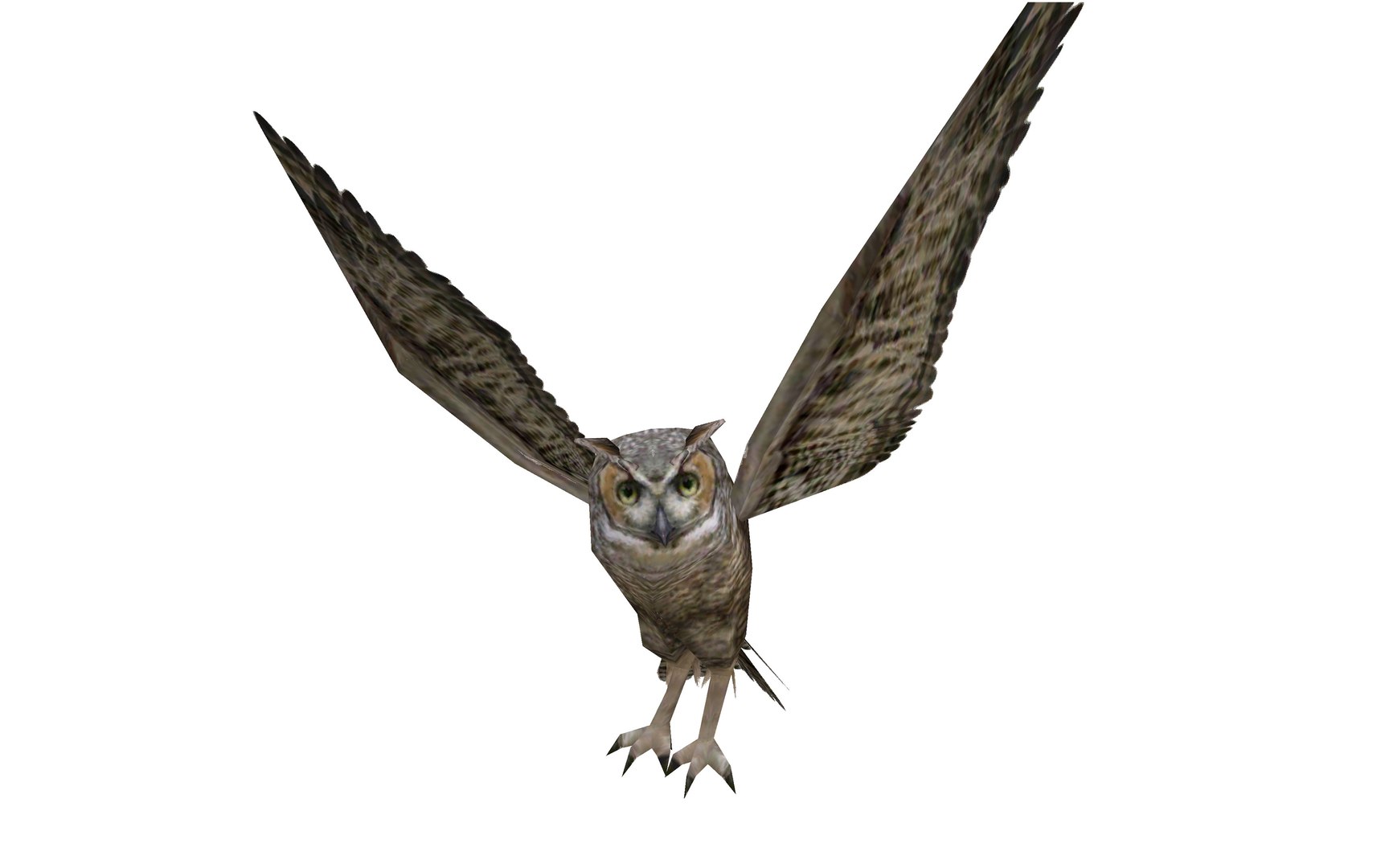 Realistic Owl Bird Model - TurboSquid 1510865