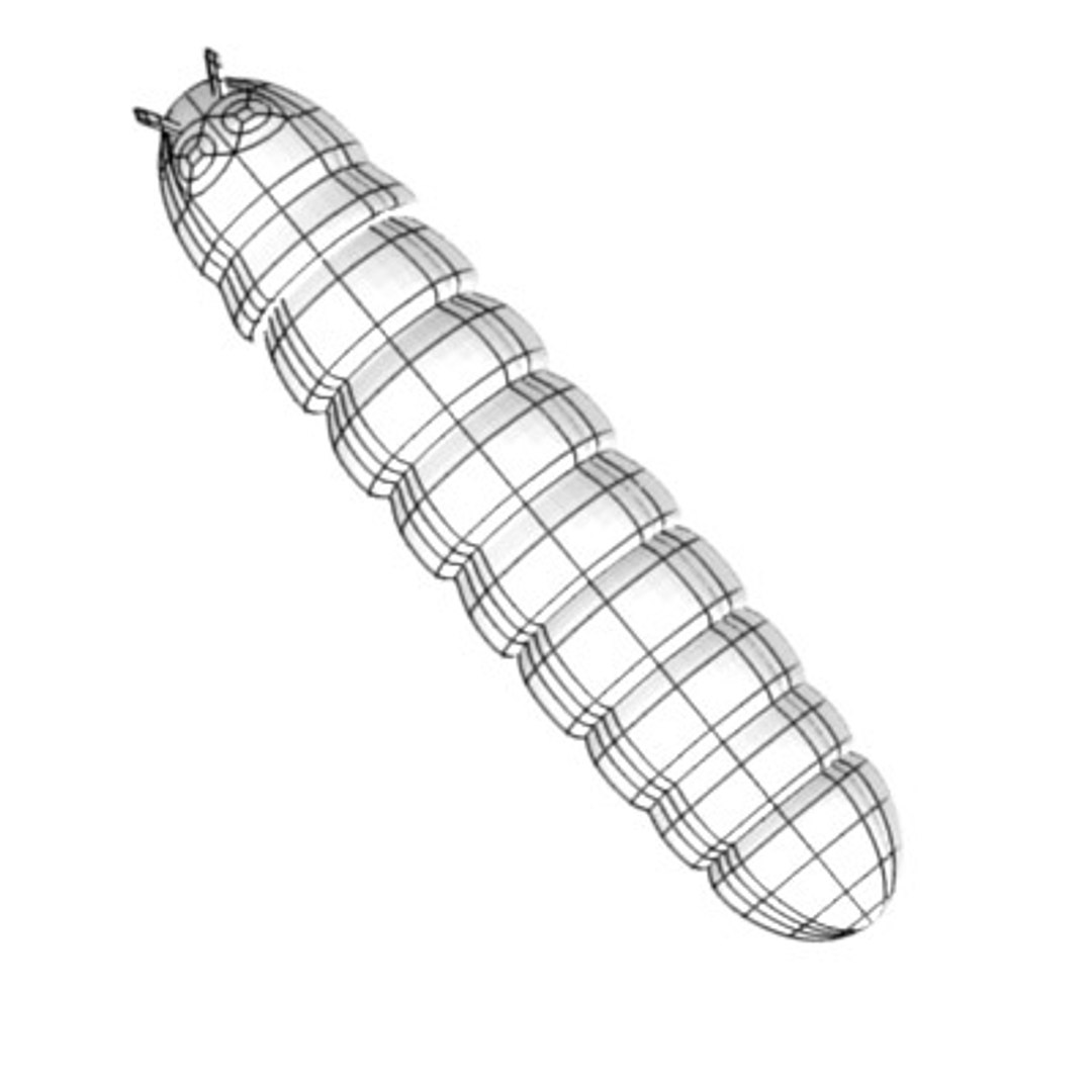 Worm 3d Model