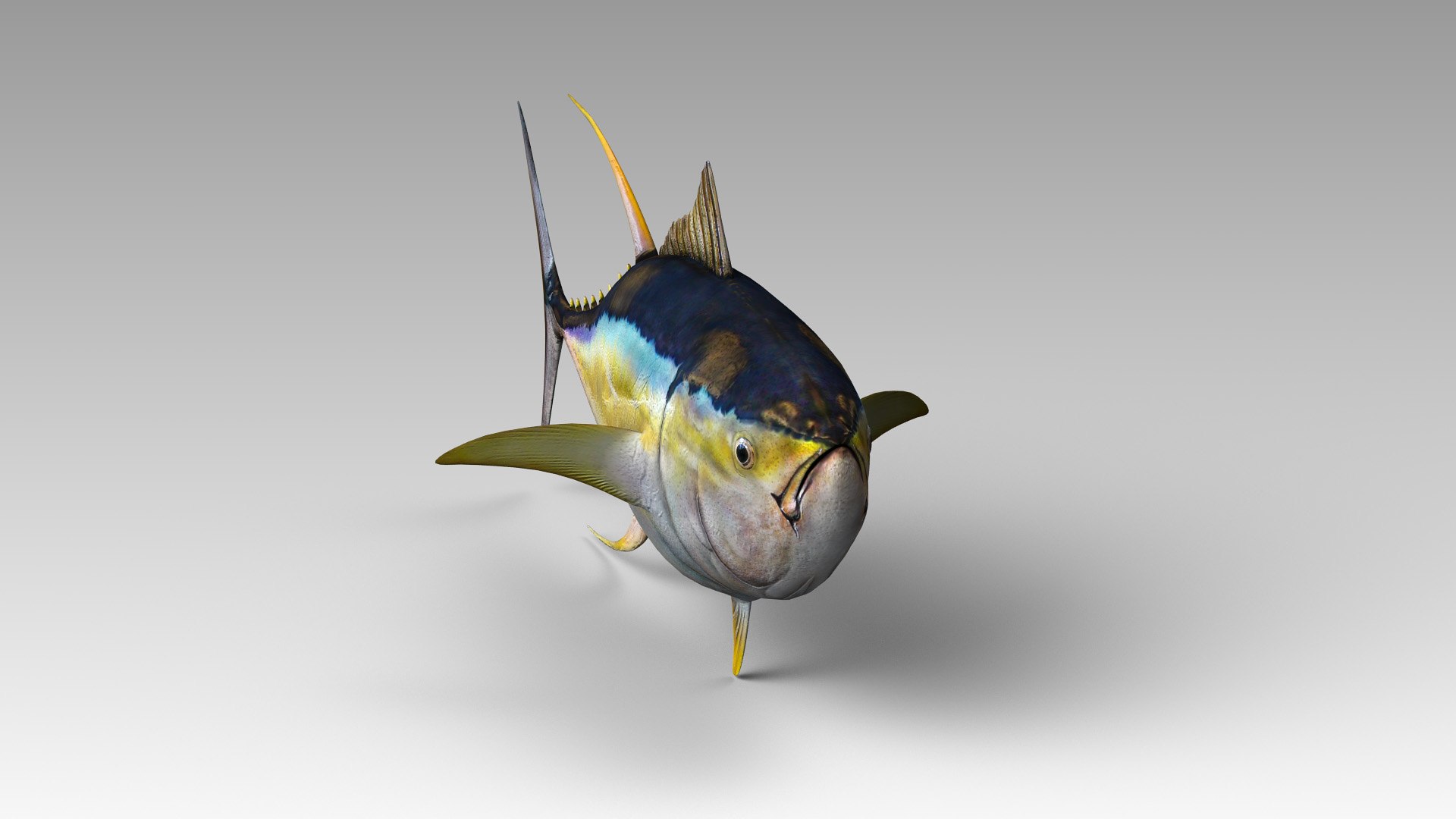 3d Tuna