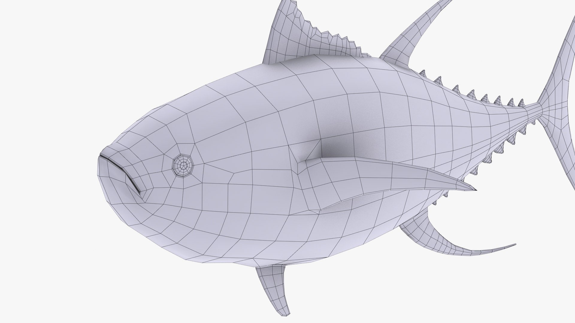 3d Tuna