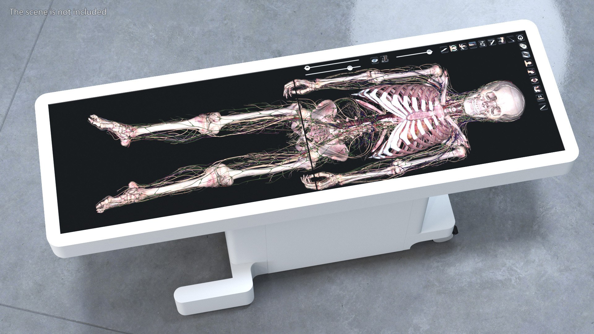 Horizontal Anatomical Training Table 3D Model - TurboSquid 1961636