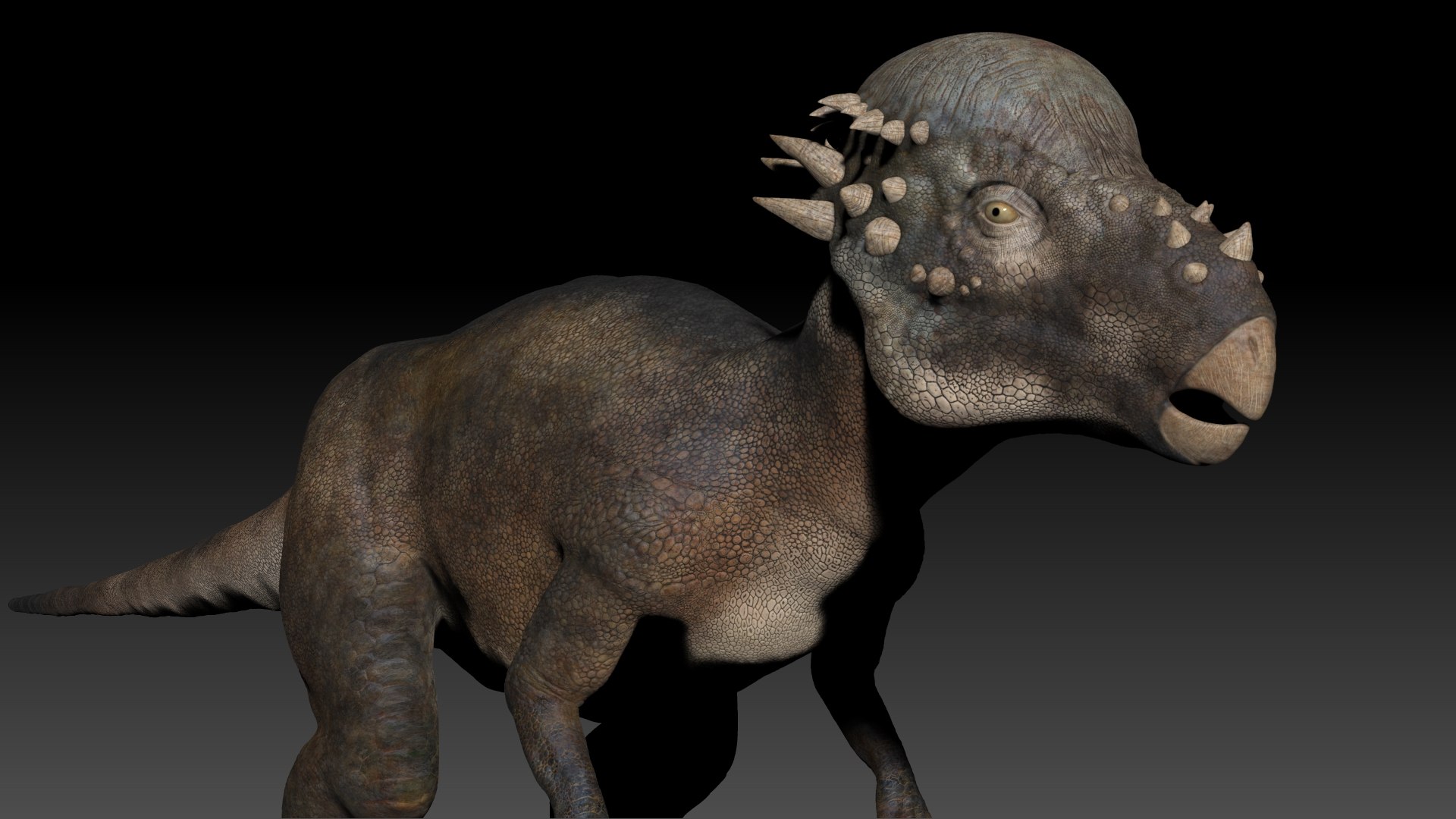 Pachycephalosaurus Sculpt Project 3D - TurboSquid 2091594