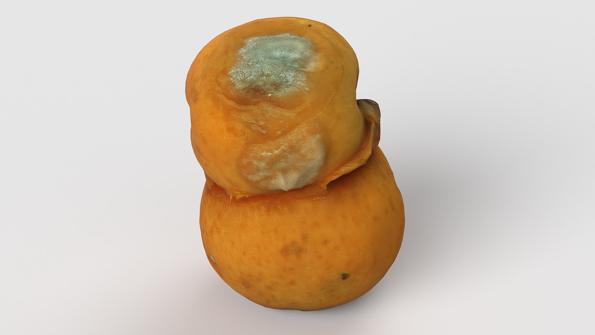 Rotten Apricots 01 model - TurboSquid 1906881