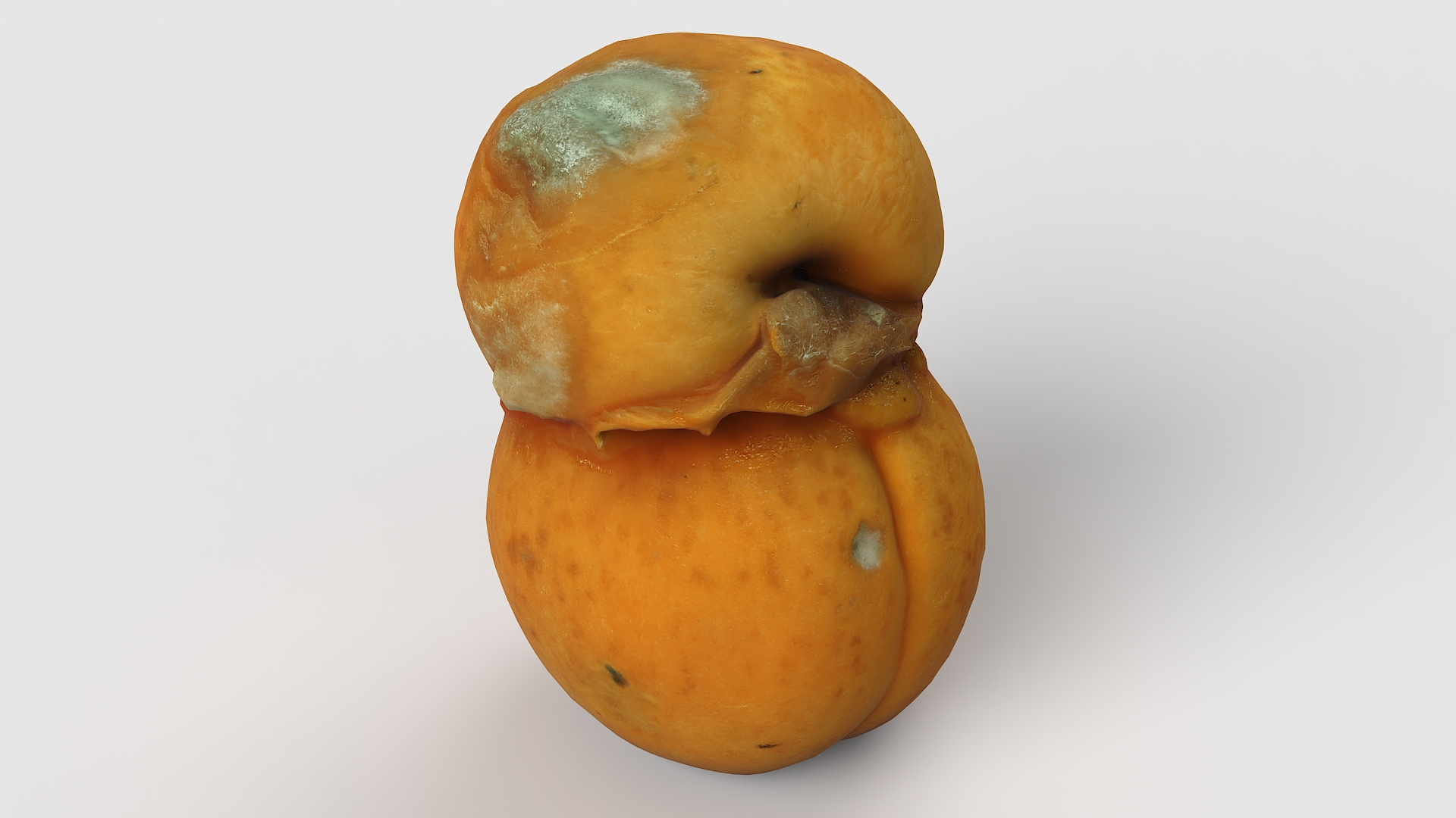Rotten Apricots 01 model - TurboSquid 1906881
