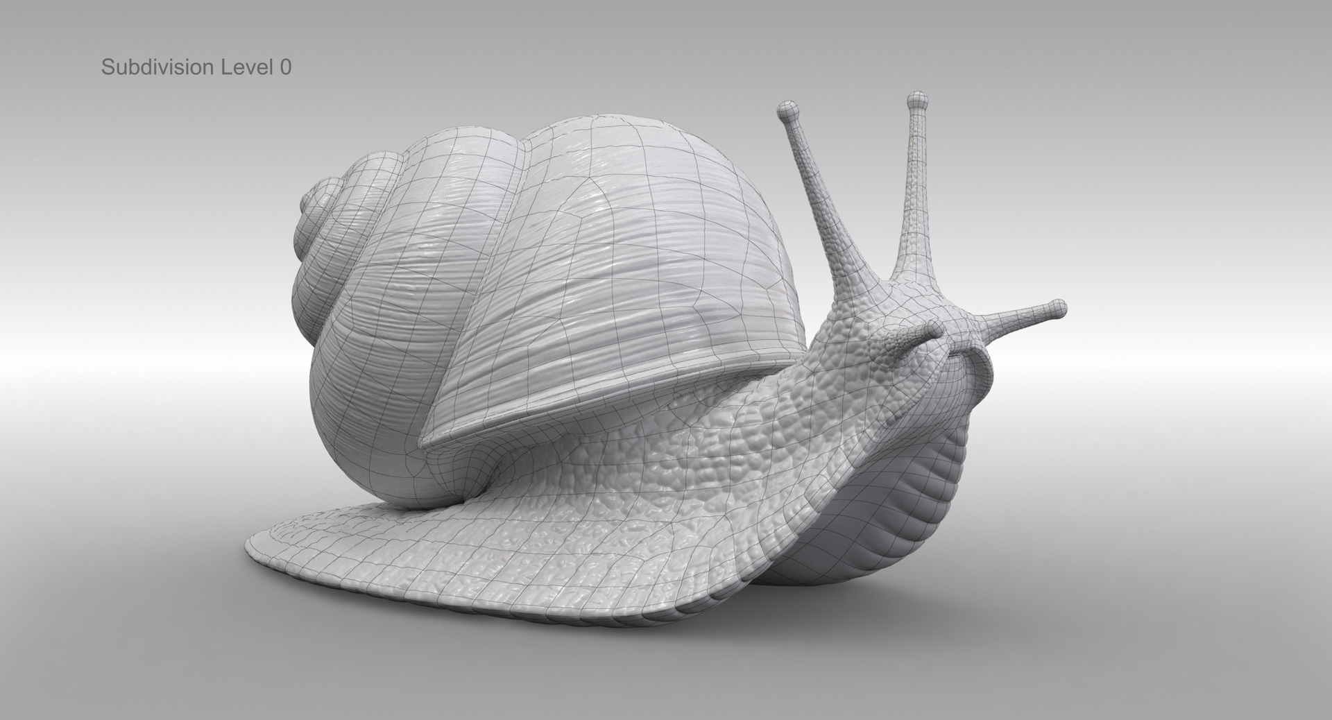 Snail shell animal 3D model - TurboSquid 1696213