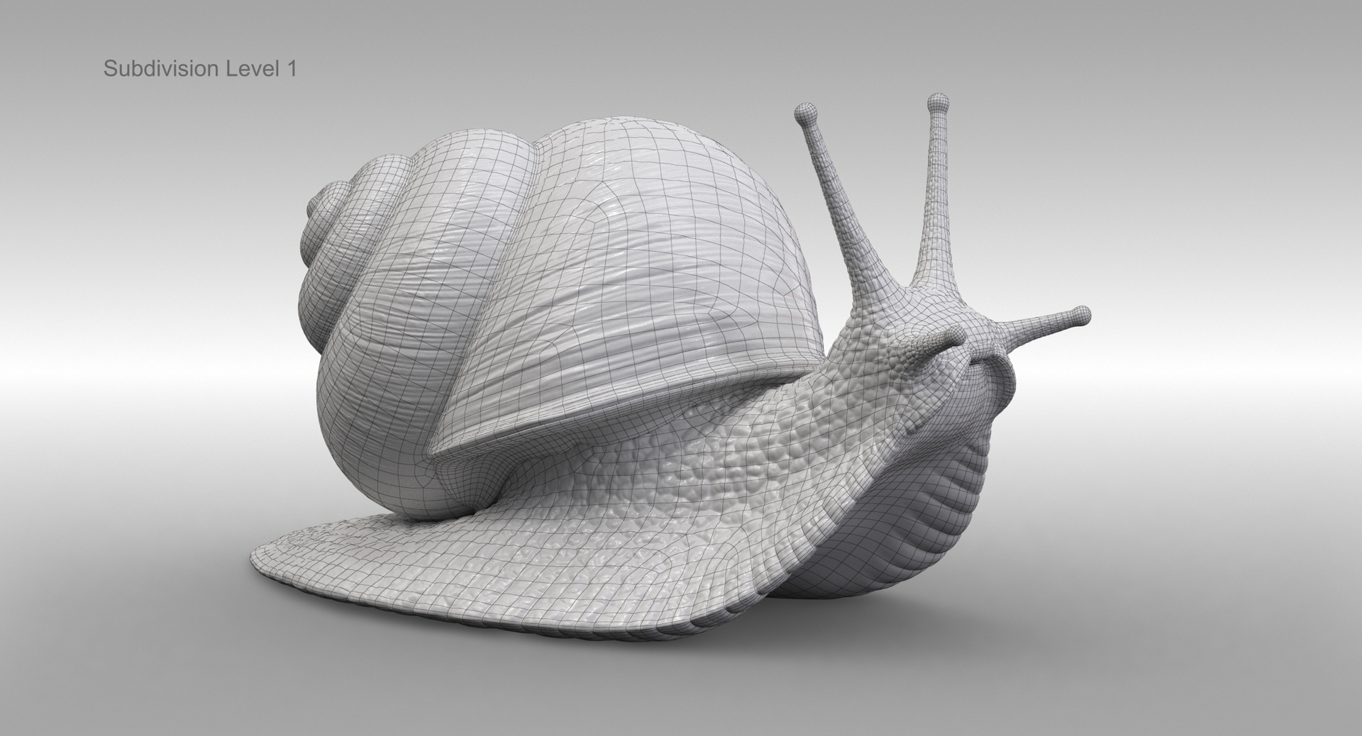 Snail shell animal 3D model - TurboSquid 1696213